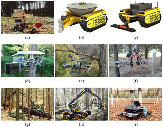 Robotics | Free Full-Text | Advances in Forest Robotics: A State-of-the ...