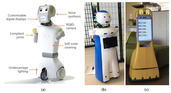 Robotics | Free Full-Text | A Review on the Use of Mobile Service Robots in Elderly Care