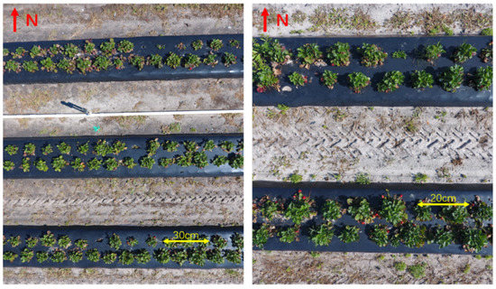 Perception, Path Planning, and Flight Control for a Drone-Enabled ...