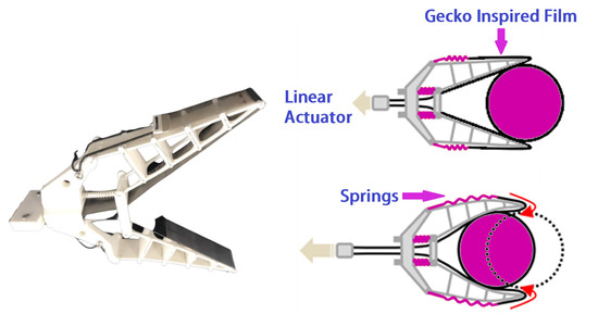 Current Designs of Robotic Arm Grippers: A Comprehensive Systematic Review