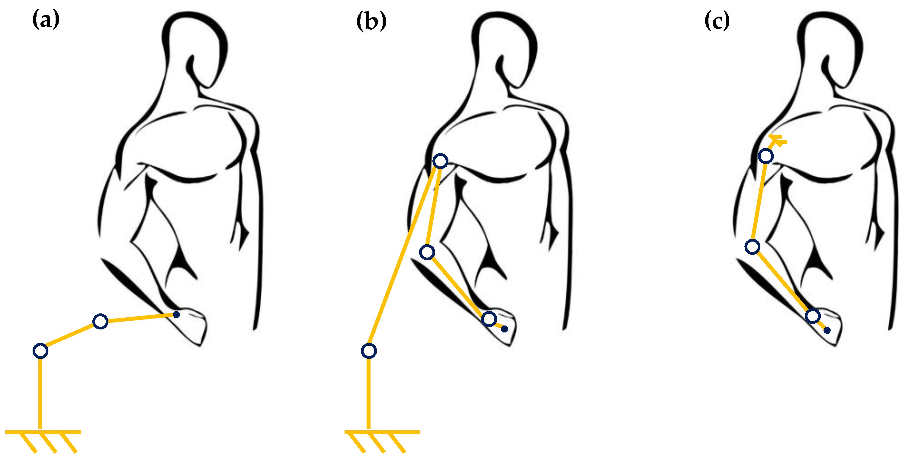 Lightweight Bioinspired Exoskeleton for Wrist Rehabilitation Powered by ...