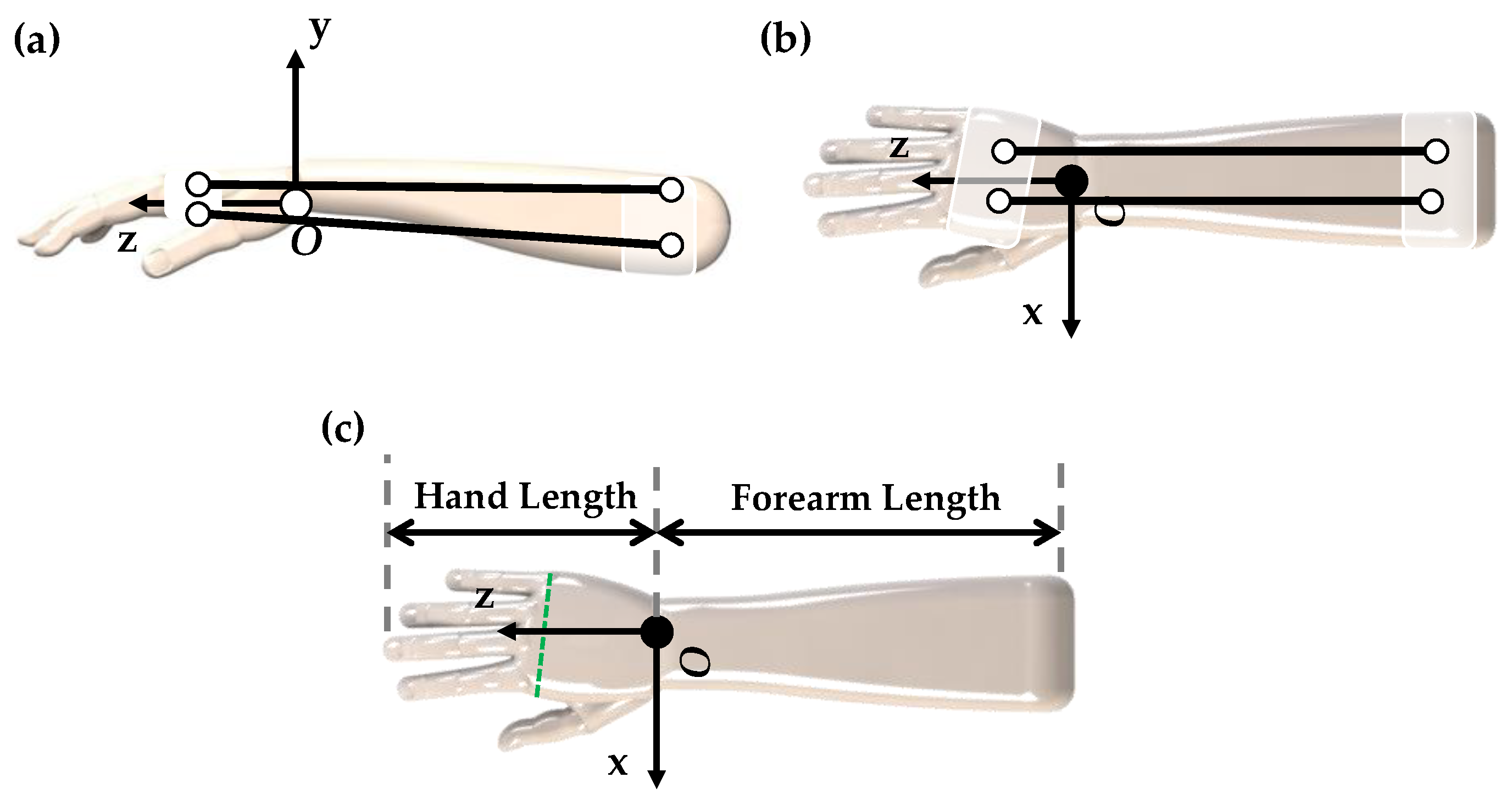 Lightweight Bioinspired Exoskeleton for Wrist Rehabilitation Powered by ...