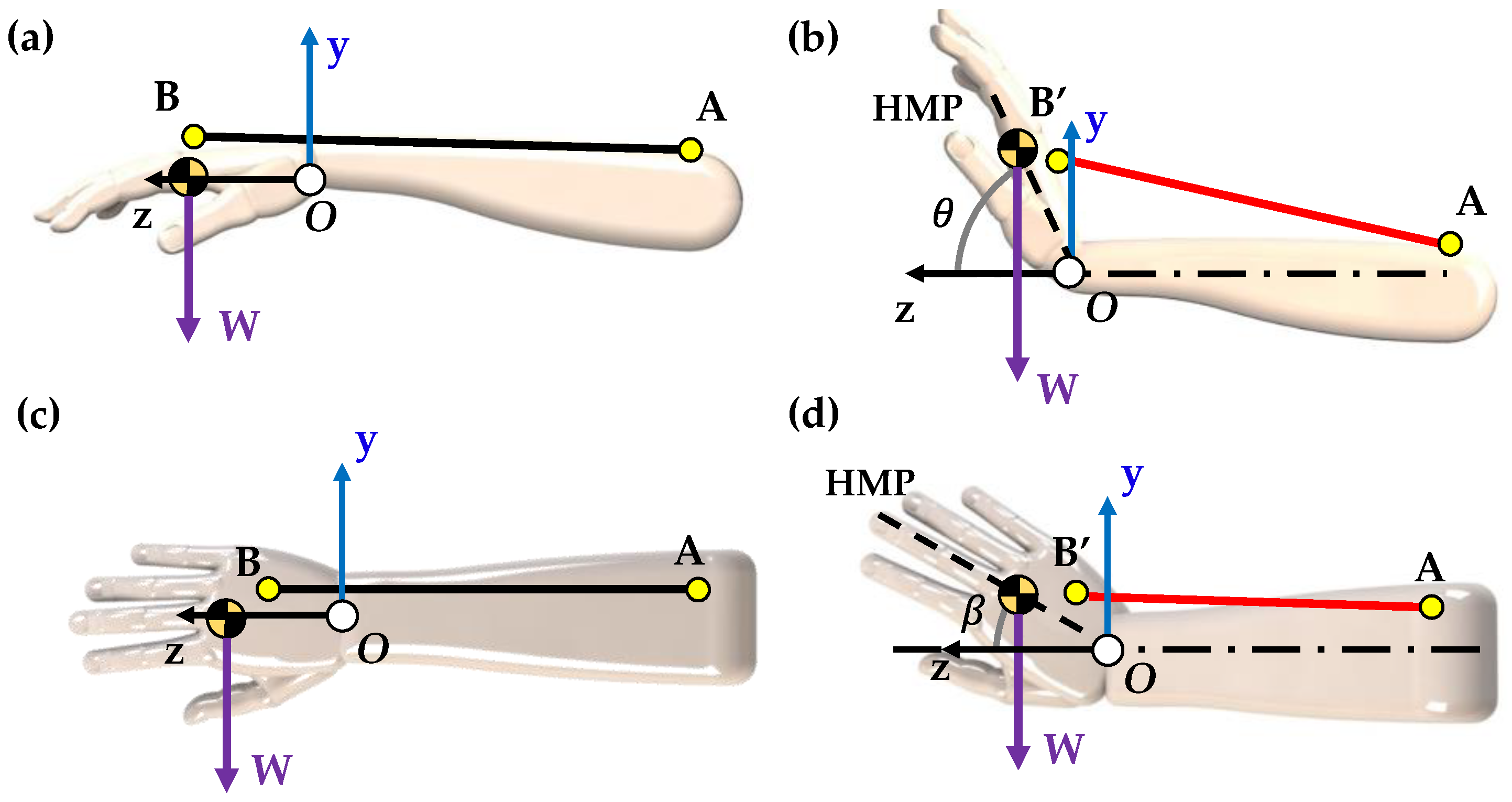 Lightweight Bioinspired Exoskeleton for Wrist Rehabilitation Powered by ...