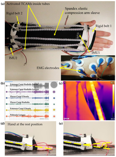 Lightweight Bioinspired Exoskeleton for Wrist Rehabilitation Powered by ...