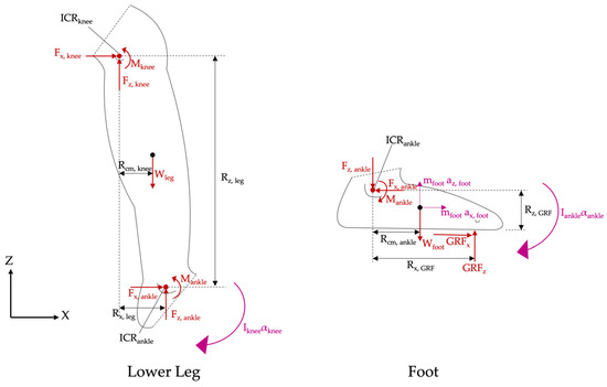 Estimation of Knee Assistive Moment in a Gait Cycle Using Knee Angle ...