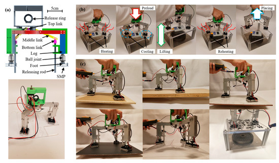 Tunable Adhesion of Shape Memory Polymer Dry Adhesive Soft Robotic Gripper via Stiffness Control