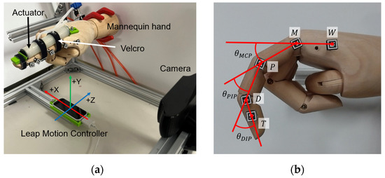 Finger Joint Stiffness Estimation with Joint Modular Soft Actuators for ...