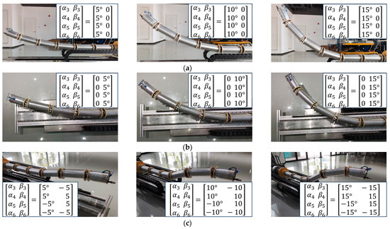 Dual-Loop Control of Cable-Driven Snake-like Robots