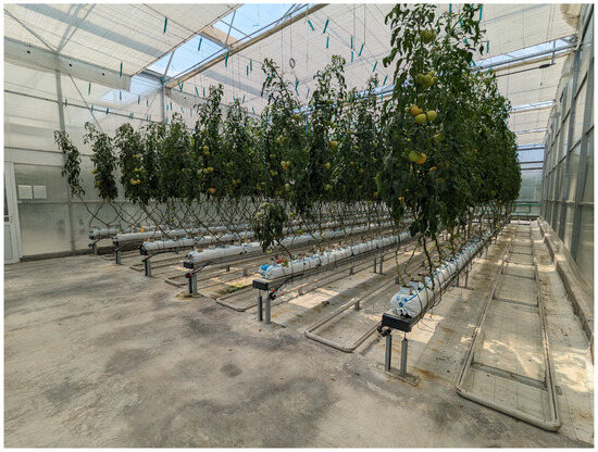 An Autonomous Navigation Framework for Holonomic Mobile Robots in ...