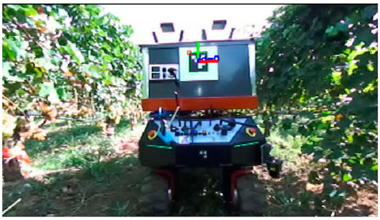 Robotics | Free Full-Text | Cooperative Grape Harvesting Using Heterogeneous Autonomous Robots