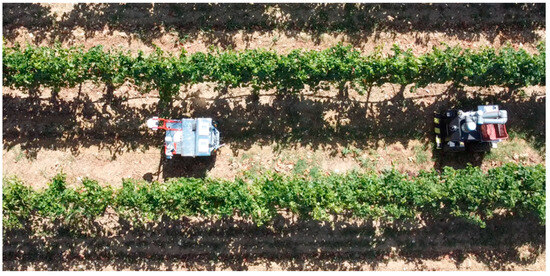 Robotics | Free Full-Text | Cooperative Grape Harvesting Using ...