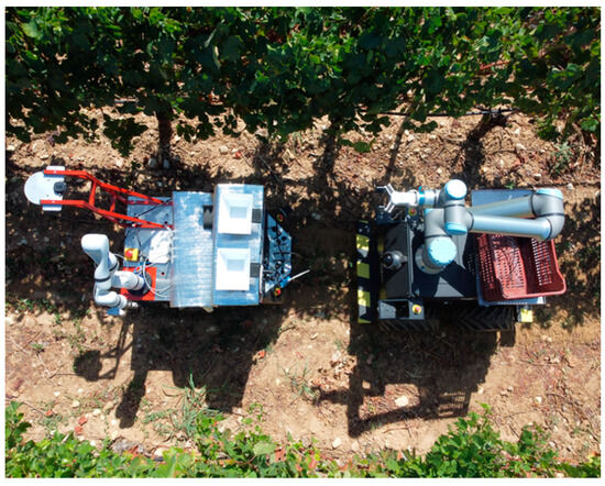 Robotics | Free Full-Text | Cooperative Grape Harvesting Using ...