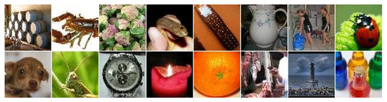 Evaluating the Performance of Mobile-Convolutional Neural Networks for Spatial and Temporal ...