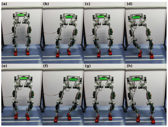 NU-Biped-4.5: A Lightweight and Low-Prototyping-Cost Full-Size Bipedal ...