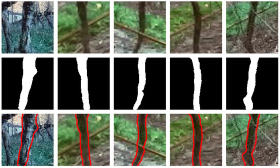 Generating a Dataset for Semantic Segmentation of Vine Trunks in Vineyards Using Semi-Supervised ...