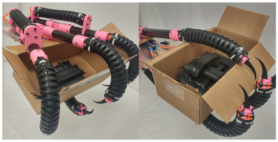 The Claw: An Avian-Inspired, Large Scale, Hybrid Rigid-Continuum Gripper
