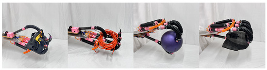 The Claw: An Avian-Inspired, Large Scale, Hybrid Rigid-Continuum Gripper