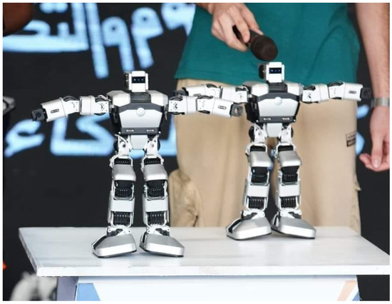 Robotics | Free Full-Text | Optimized Decentralized Swarm Communication ...