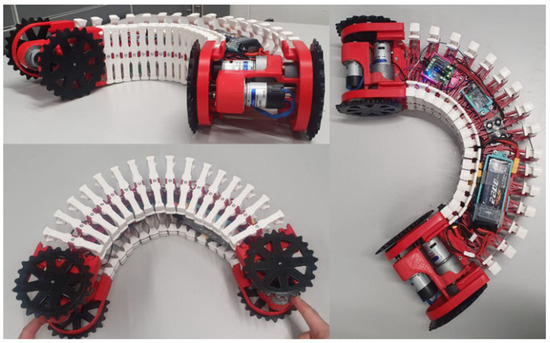 Porcospino Flex: A Bio-Inspired Single-Track Robot with a 3D-Printed ...