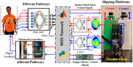 Robotics | Free Full-Text | Multichannel Sensorimotor Integration with a Dexterous Artificial Hand
