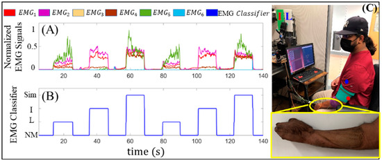 Multichannel Sensorimotor Integration with a Dexterous Artificial Hand