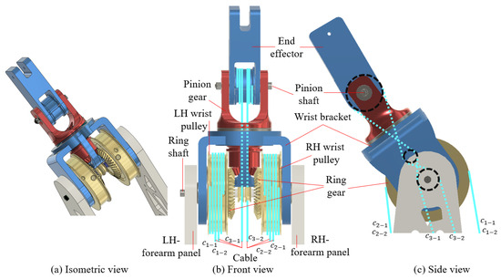 Low-Cost Cable-Driven Robot Arm with Low-Inertia Movement and Long-Term Cable Durability