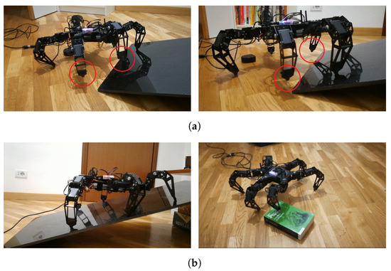 Control of a Hexapod Robot Considering Terrain Interaction