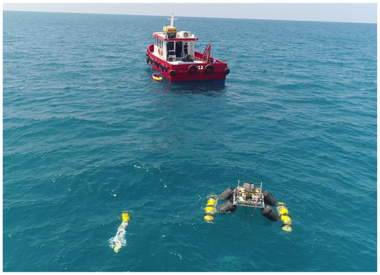 Navigating ALICE: Advancements in Deployable Docking and Precision Detection for AUV Operations