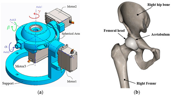 Design of a Novel Bio-Inspired Three Degrees of Freedom (3DOF ...