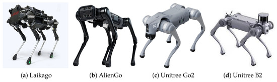 Quadruped Robots: Bridging Mechanical Design, Control, and Applications