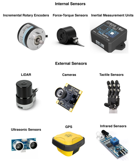 Quadruped Robots: Bridging Mechanical Design, Control, and Applications