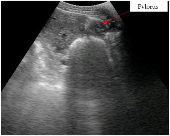 Ruminants | An Open Access Journal from MDPI