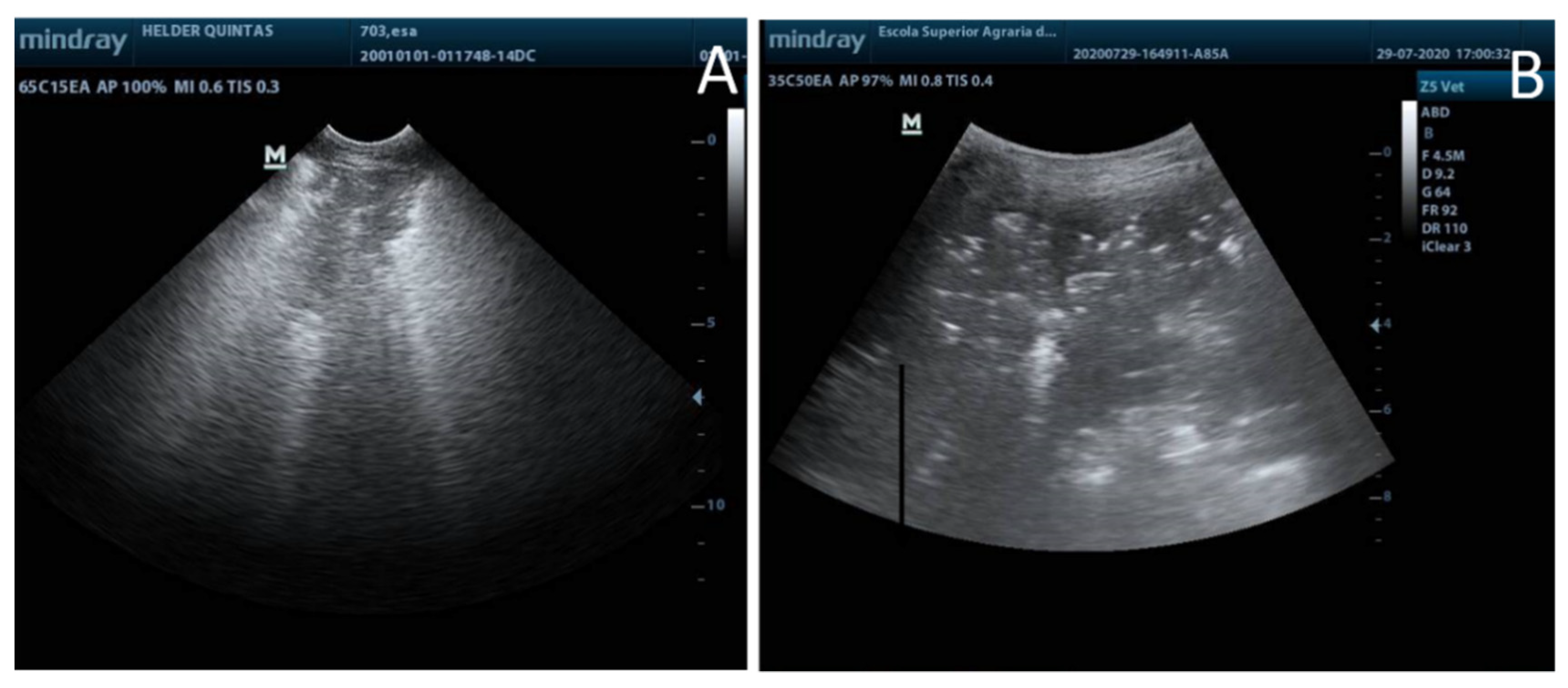 The Diagnostic Challenges of Ovine Pulmonary Adenocarcinoma