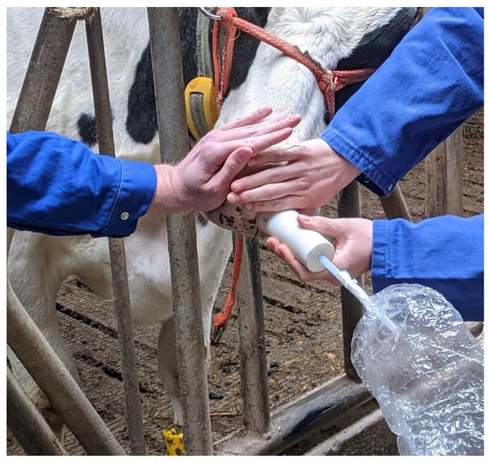 Breath Analysis for Early Detection of Rising Ketone Bodies in ...