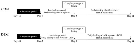 A Novel Direct-Fed Microbial for Beef Cattle Has a Supportive Effect ...