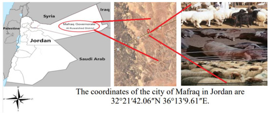 Sustainable Sheep and Goat Farming in Arid Regions of Jordan
