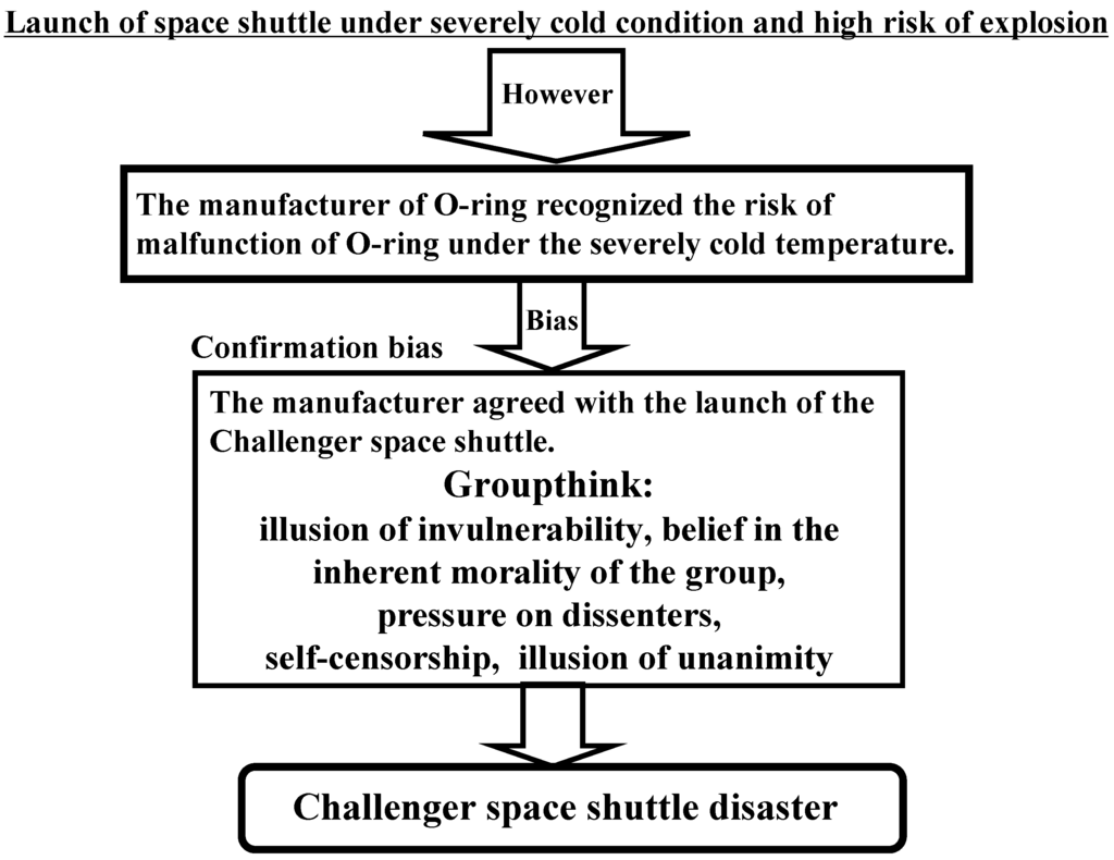 Space Shuttle Challenger Disaster Summary