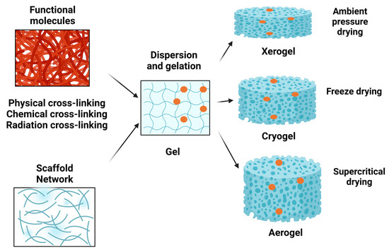 Updated Aspects of Safety Regulations for Biomedical Applications of ...