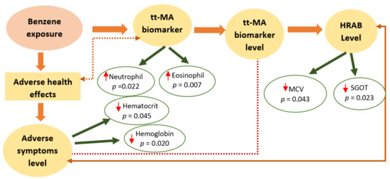 Altered Haematological Parameters in Gasoline Station Workers Due to ...