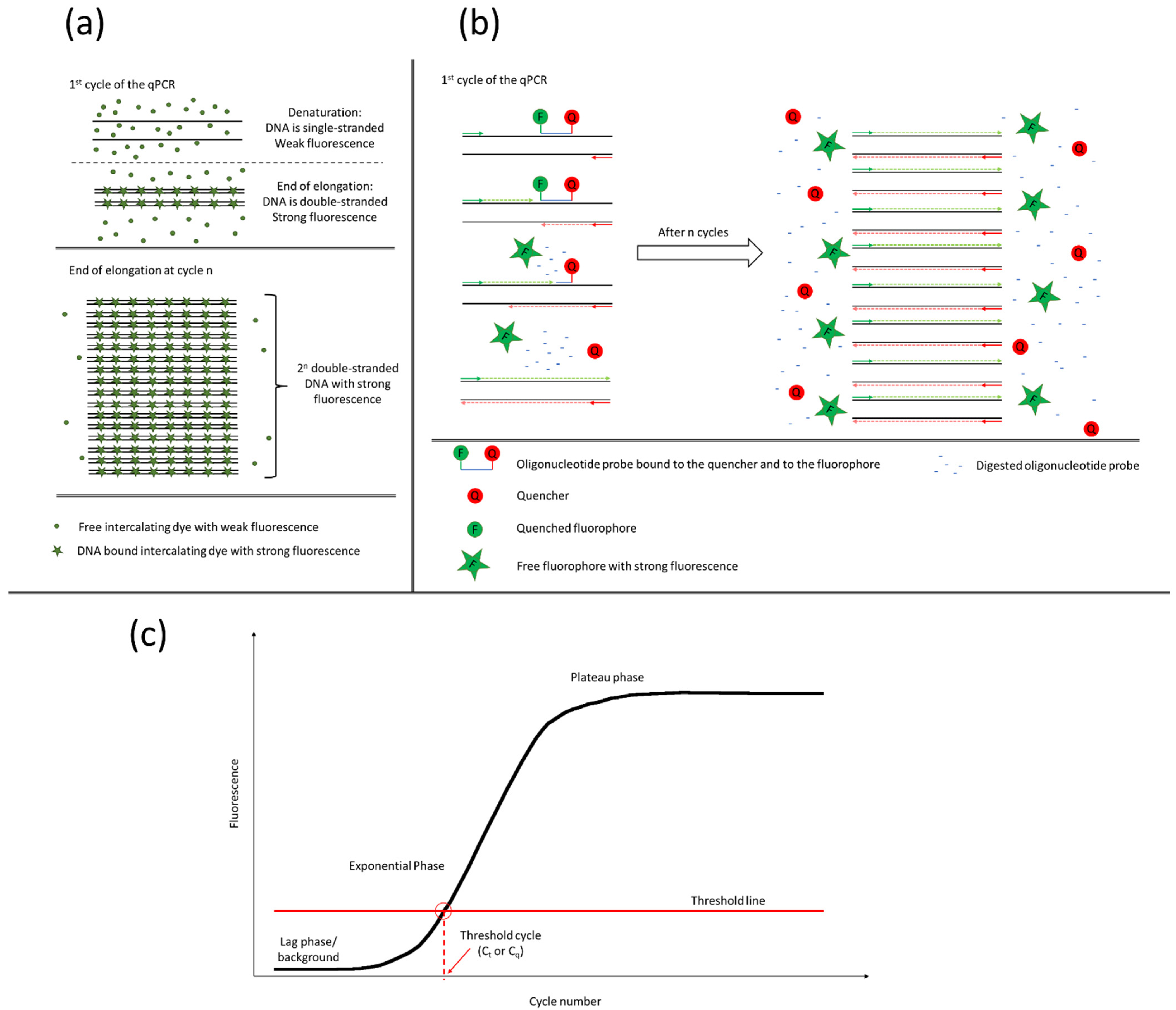 A Practical Approach for Quantitative Polymerase Chain Reaction, the ...