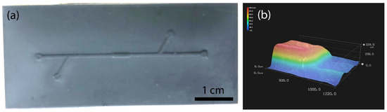 Sci | An Open Access Journal from MDPI