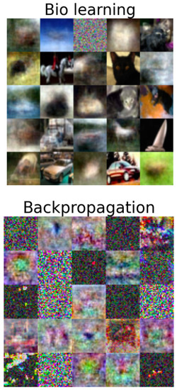 Sci | Free Full-Text | Towards New Generation, Biologically Plausible Deep Neural Network Learning