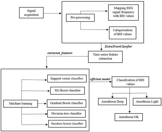 Depth Analysis of Anesthesia Using EEG Signals via Time Series Feature Extraction and Machine ...