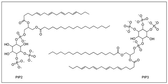 In Silico Study of Potential Small Molecule TIPE2 Inhibitors for the ...