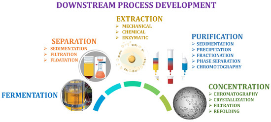 Sci | Free Full-Text | Evolving Paradigms of Recombinant Protein ...