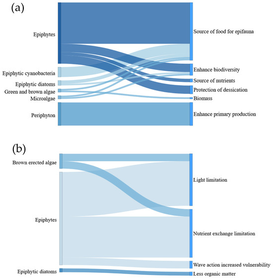 Epibionts and Epiphytes in Seagrass Habitats: A Global Analysis of ...