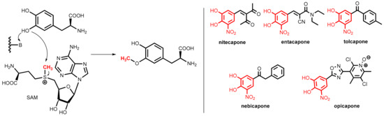 Pharmacokinetic Enhancers (Boosters)—Escort for Drugs against Degrading ...