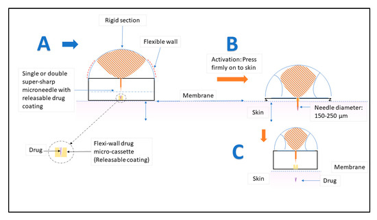 Recent Approaches for Solid Dose Vaccine Delivery