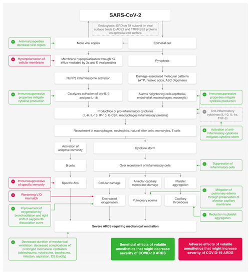 Sedating Mechanically Ventilated COVID-19 Patients with Volatile ...