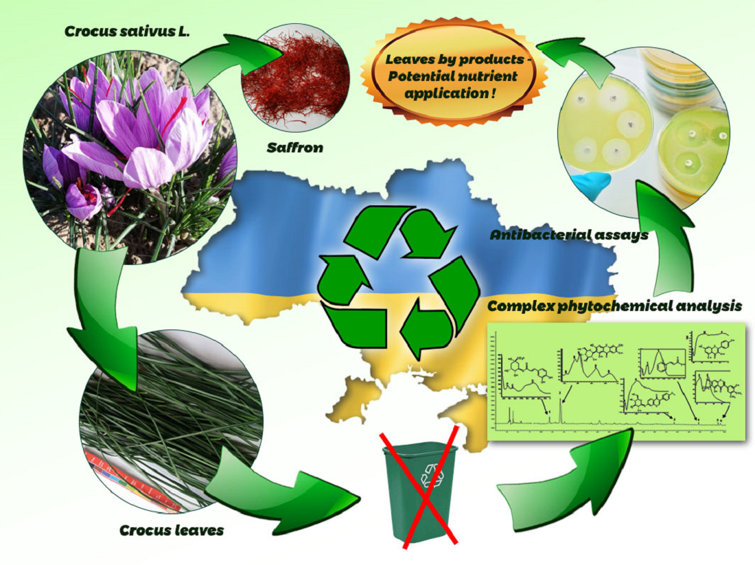 Sci. Pharm. | Free Full-Text | Characterization of Phytochemical ...